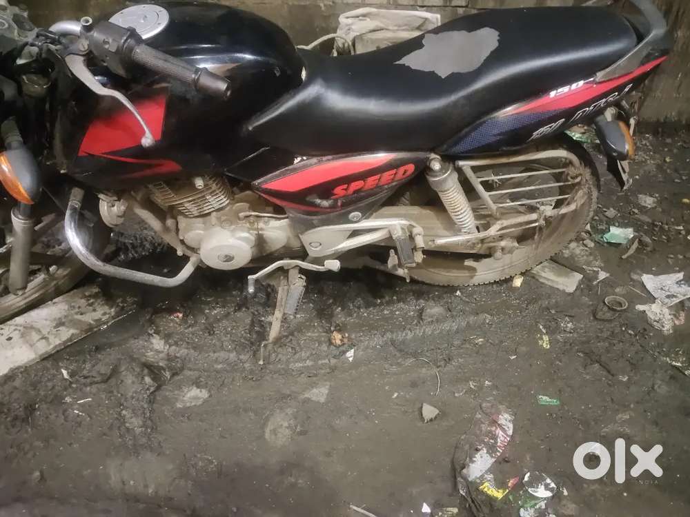 Best condition bike old model palsar 150 dts - Motorcycles - 1787172008