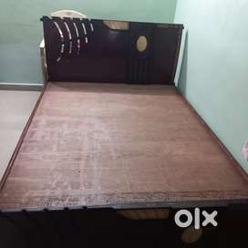 Olx double cot store