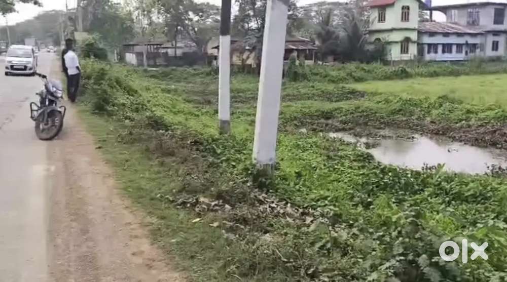 1st plot 2.5 bigha Miyadi land for sale - Lands & Plots - 1804354535