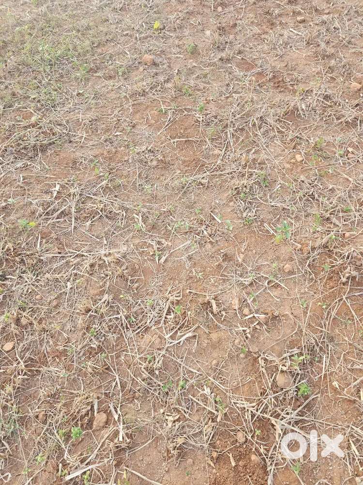 Farm house agri lands best investment opportunities pls get back to us ...