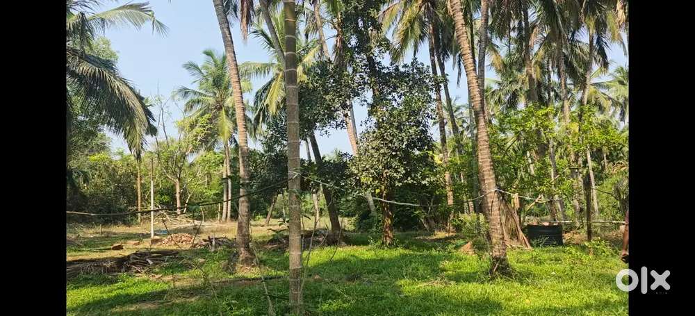 5 acre agricultural land for sale with 4.5 acre kumki - Lands & Plots ...
