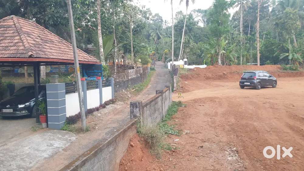 PULLAD.KURIANOOR (THONIPUZHA) NEAR HOUSE PLOT. - Lands & Plots - 1721244663