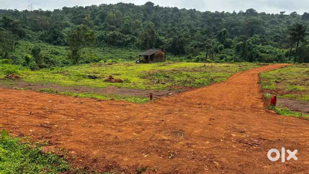 Agricultural land for sale in Ambeshi Poriem Sanquelim Goa @2500/sqm ...