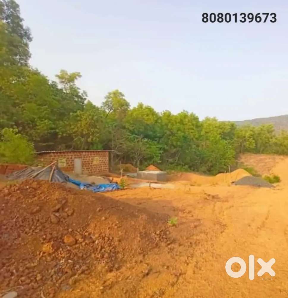 Orchard - Lands & Plots for sale in Goa | OLX