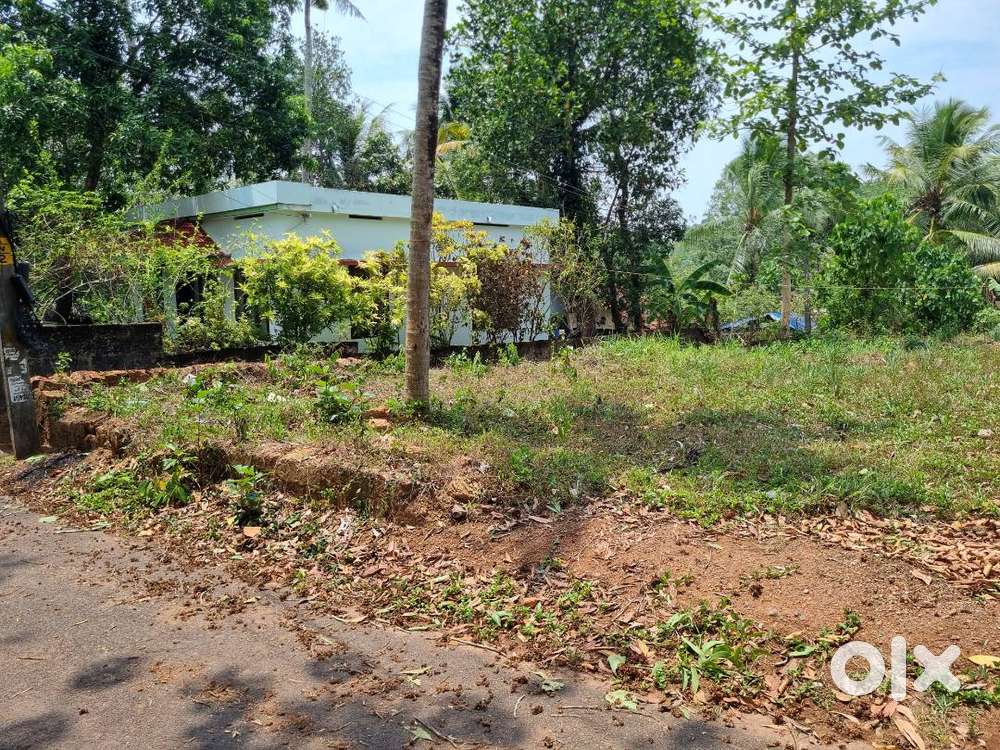 7 cent land in Chalakkapara - Lands & Plots - 1824080626