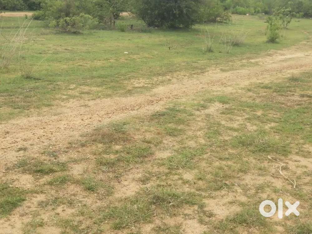 7 acers agriculture land one bore well Piler to 28 kms - Lands & Plots ...