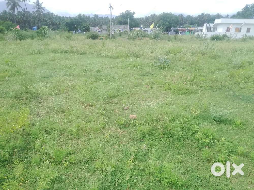 Per cent 4.20 lack - Lands & Plots - 1826027780