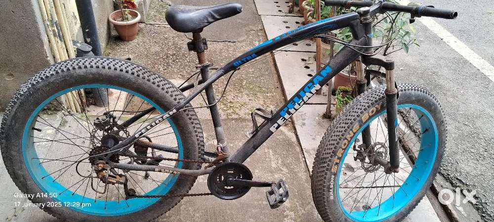 Fat Bike in Delhi Free classifieds in Delhi OLX
