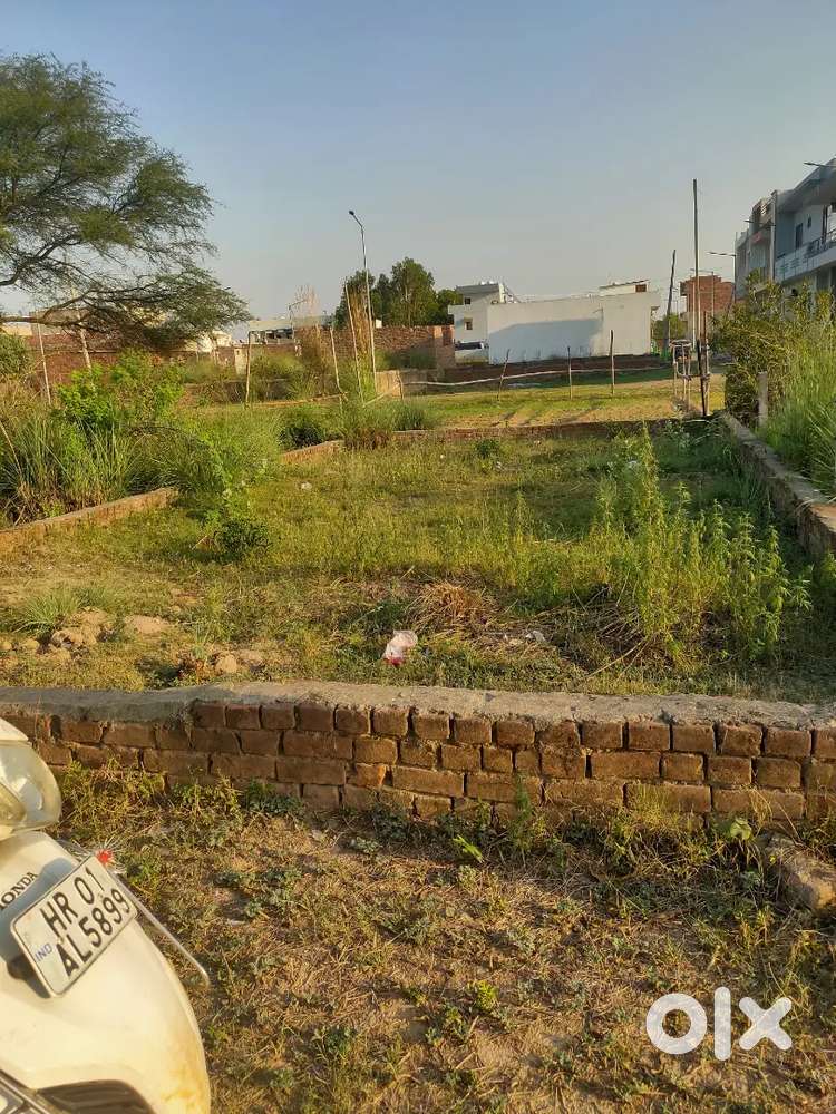 Defence colony, ambala cantt - Lands & Plots - 1806865089