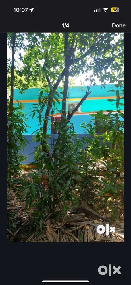 3.3 cents Land for sale in Punnainagar - Lands & Plots - 1805743602