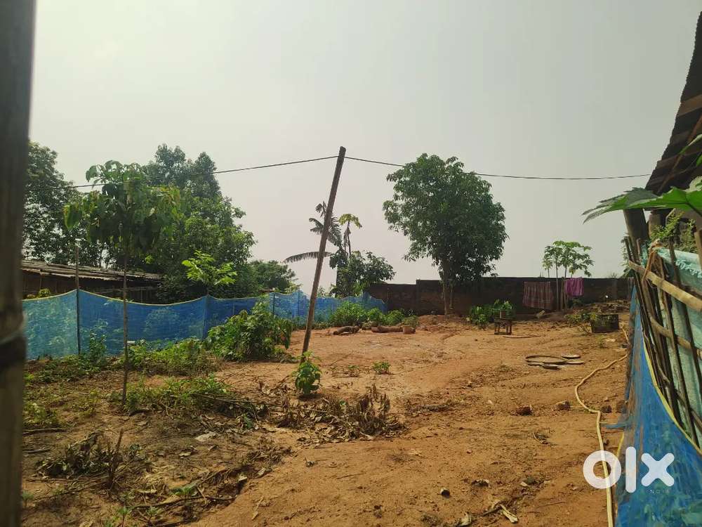 Khali plot (19 Lesa) - Lands & Plots - 1812952204